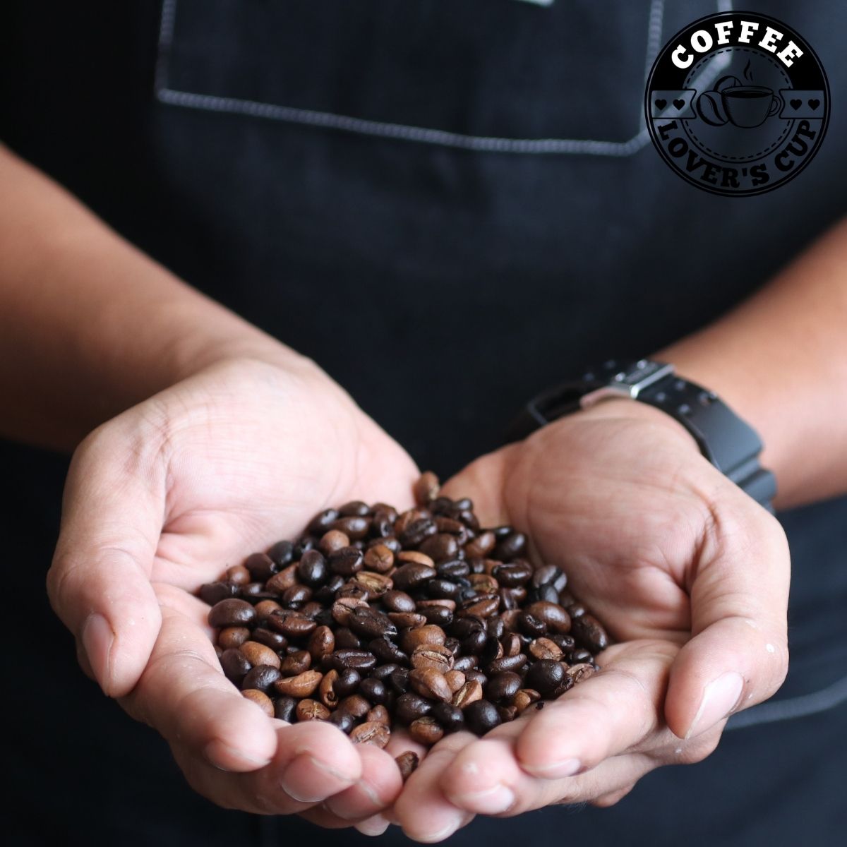 Starbucks Coffee What Type Of Bean Do They Use Coffee Lover s Cup